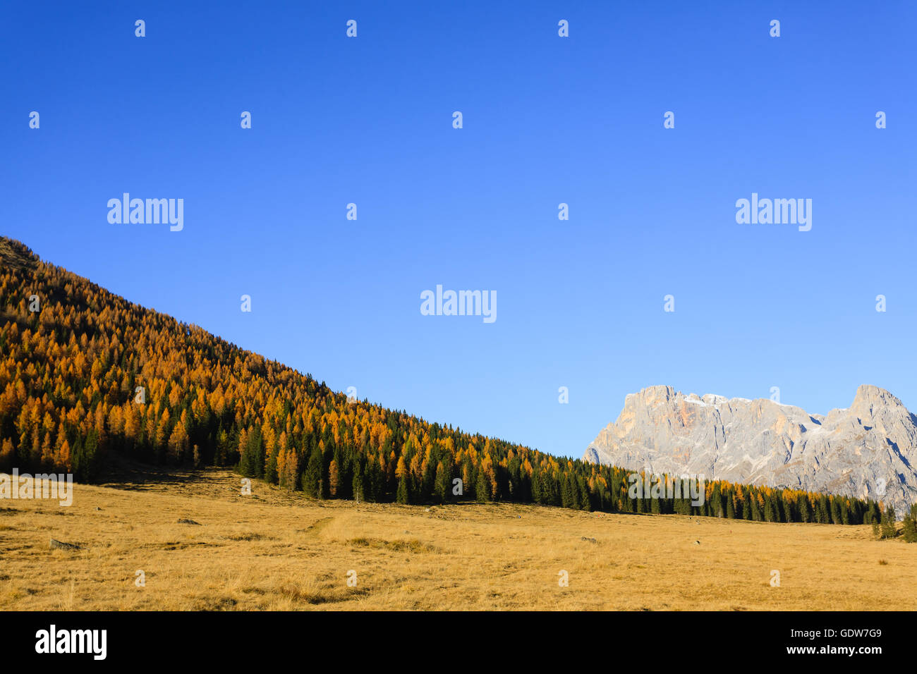 Autumn landscape from italian Alps. Yellow trees. Beautiful dolomites ...