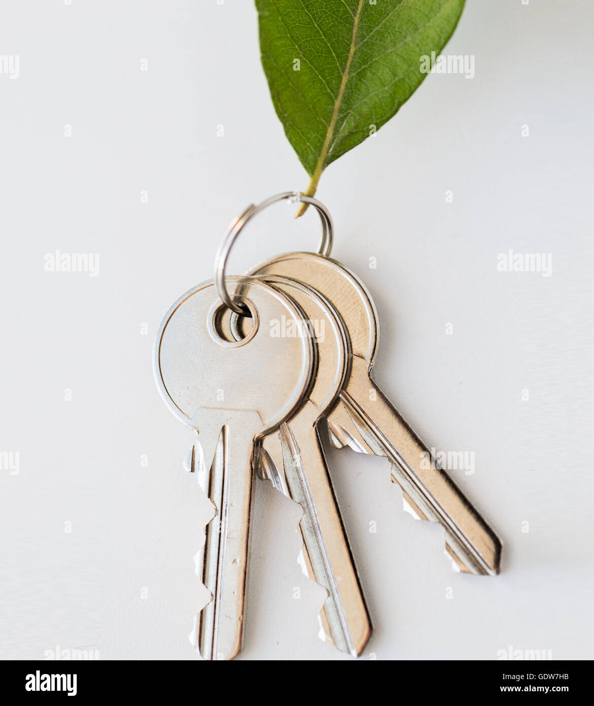 Eco flora estate hi-res stock photography and images - Alamy