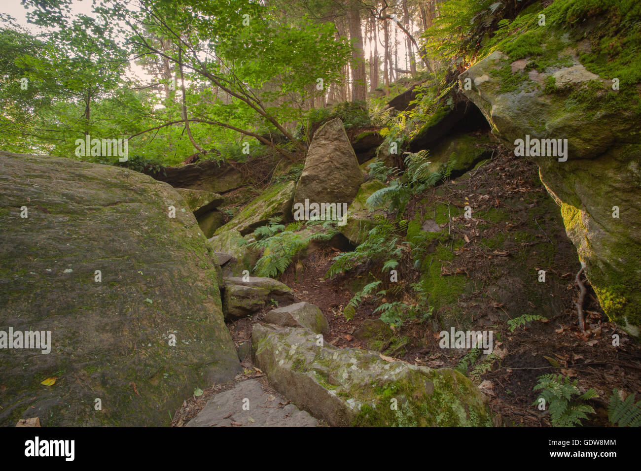 A scenic view of a hiking trail in the Ice Glen region of the Berkshire ...