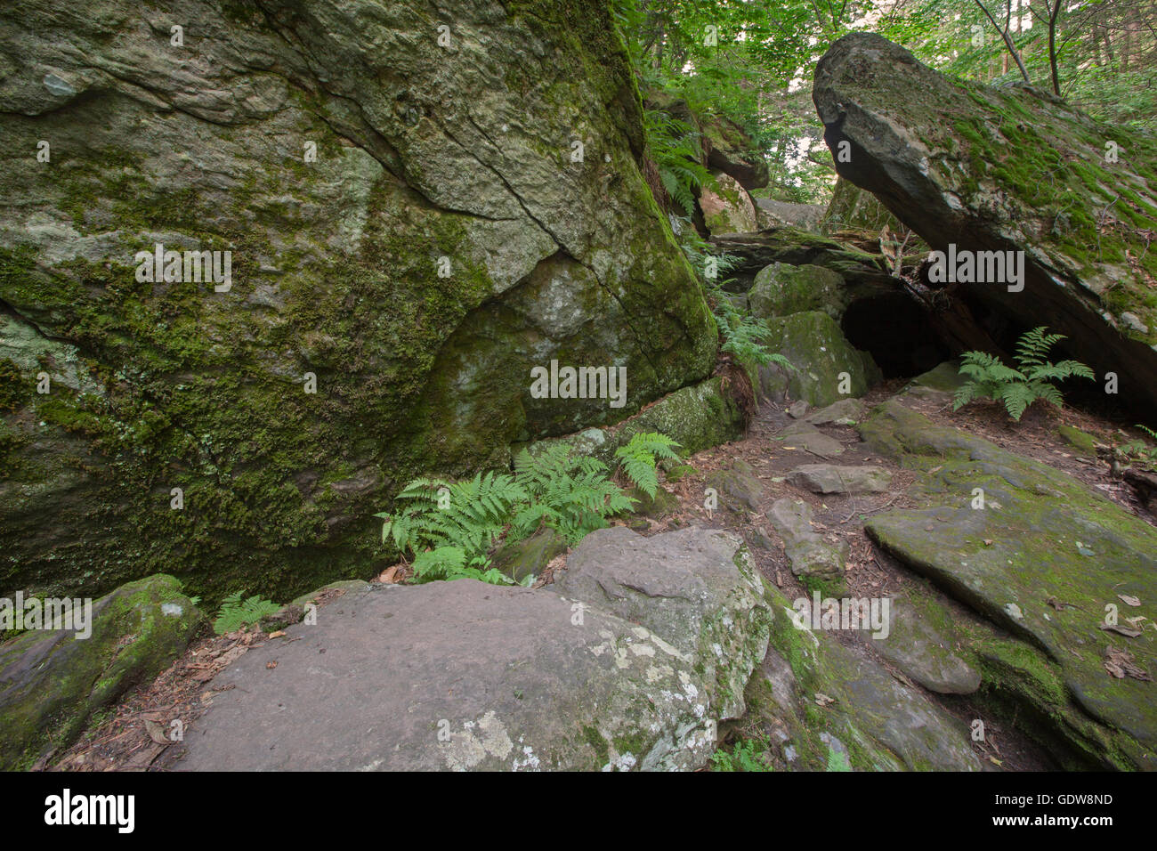 A scenic view of a hiking trail in the Ice Glen region of the Berkshire ...