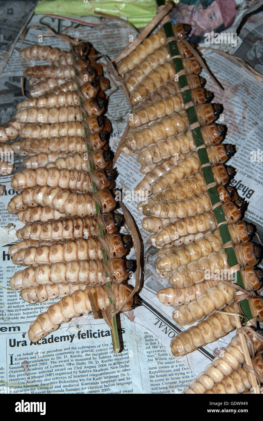 The image of Naga food worms in Kohima market, Nagaland, India Stock ...