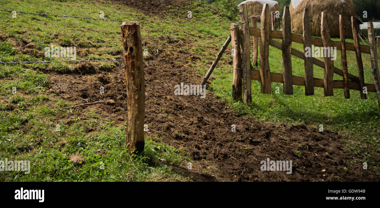 Sheepfold meadow hi-res stock photography and images - Alamy