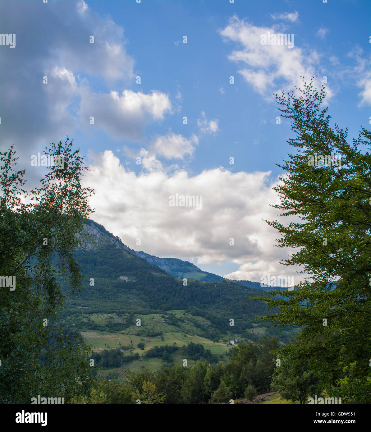 Mountain view through pine trees hi-res stock photography and images ...