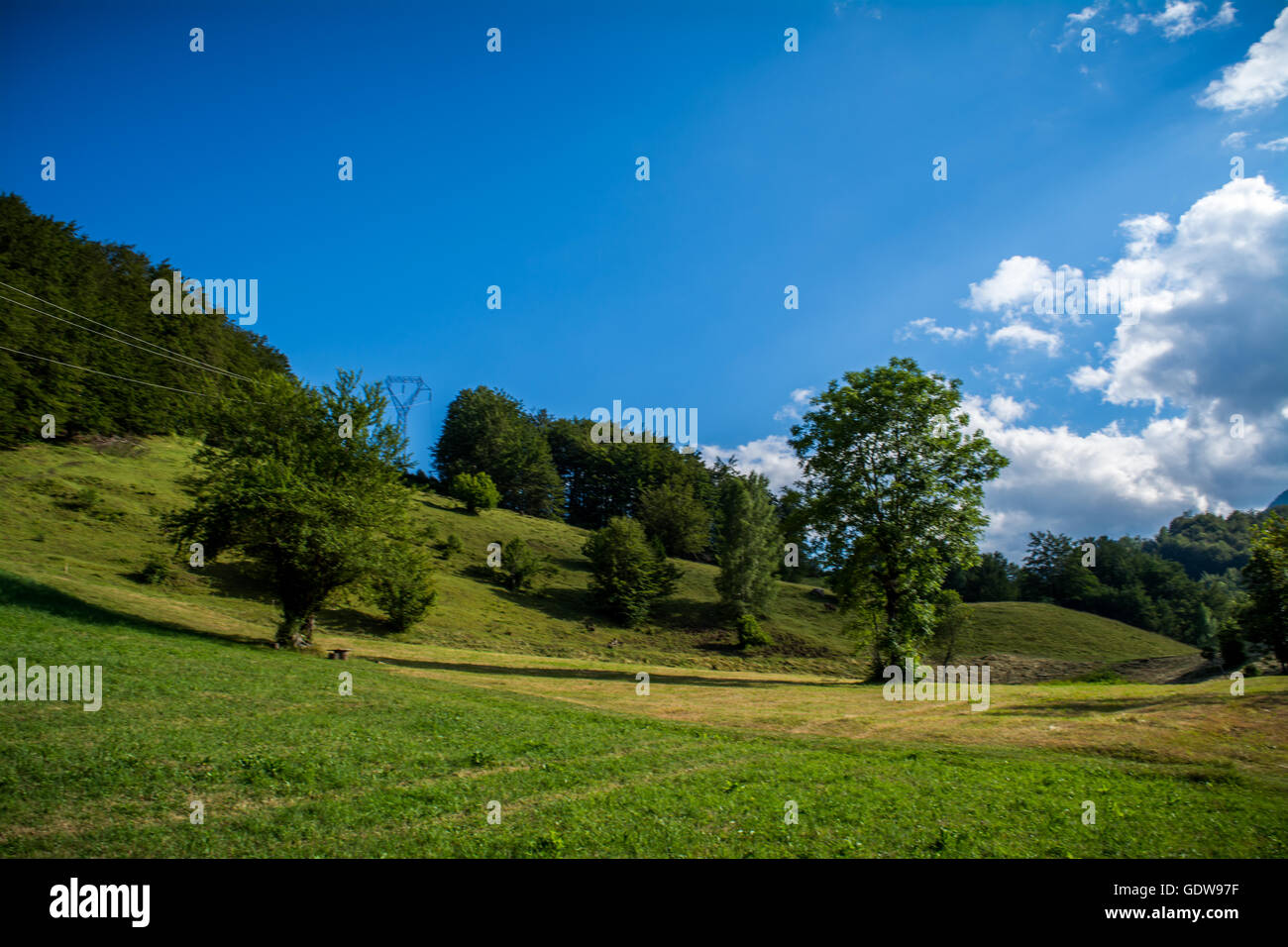 Beautiful green field Stock Photo - Alamy