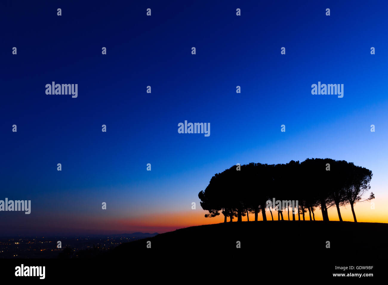 Hills panorama at sunset. Pines over hill. Minimal landscape Stock ...