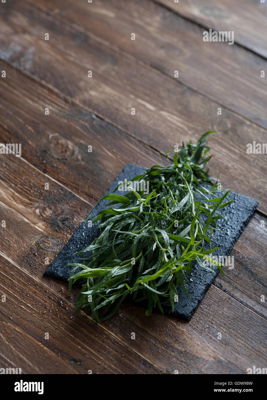 Fresh Tarragon on a table Stock Photo - Alamy