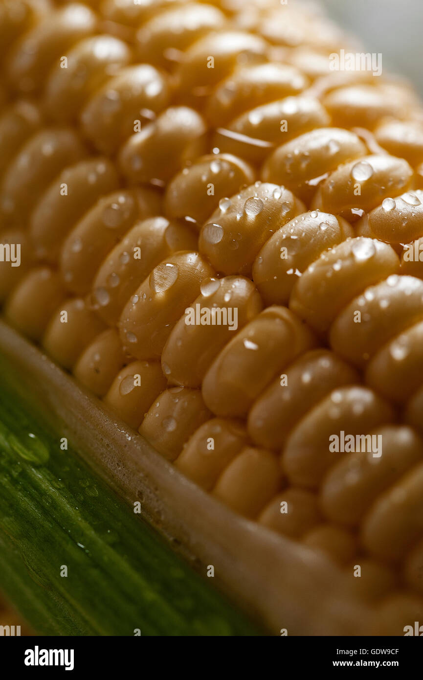 Raw corn on a wood table Stock Photo - Alamy
