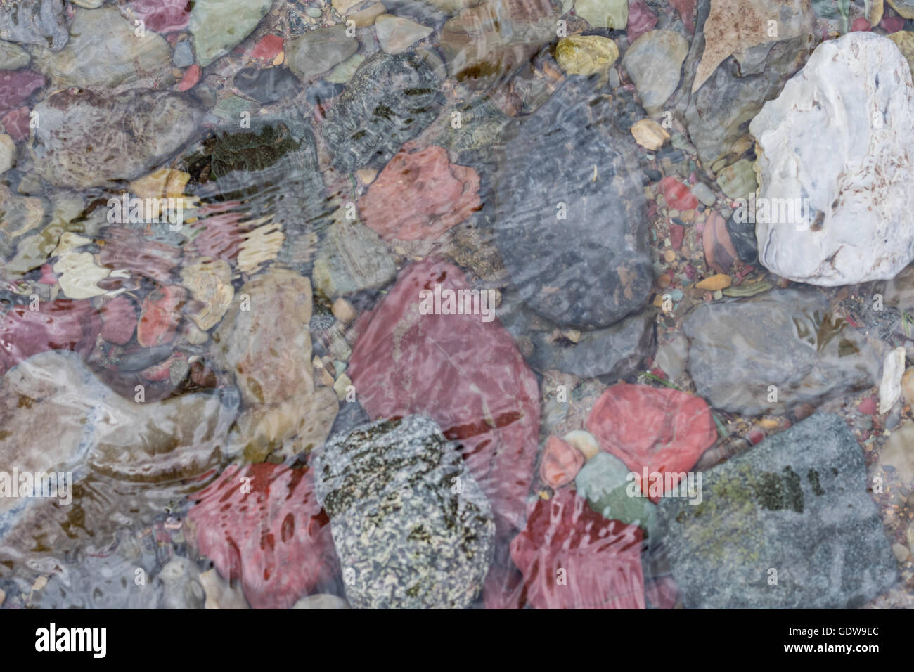 Multicolored Rocks below the ripples of Creek in Montana mountains ...