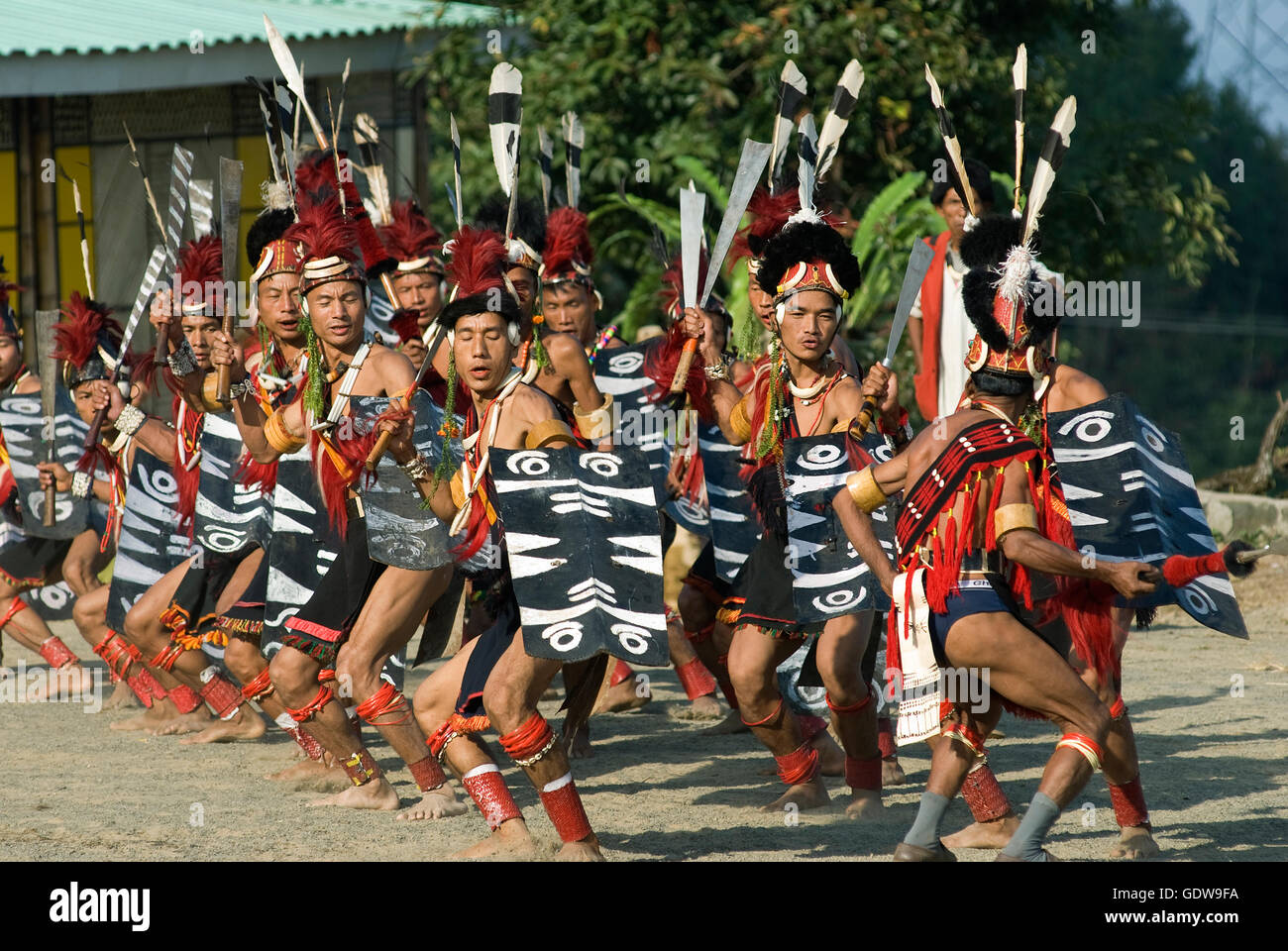 The image of Phom Tribe performing at Hornbill Festival, Nagaland ...