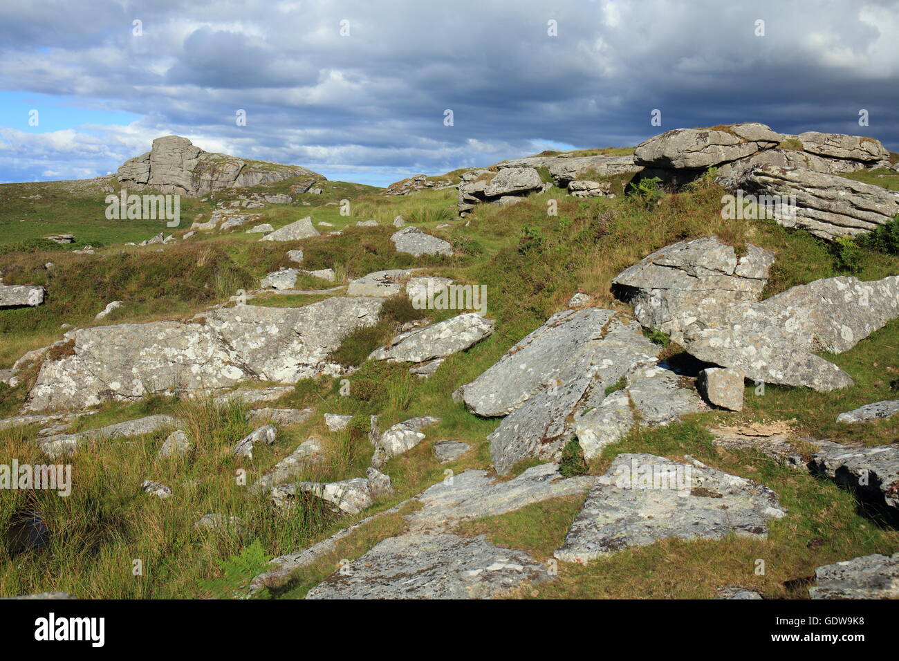 Dartmoor national park summer hi-res stock photography and images - Alamy