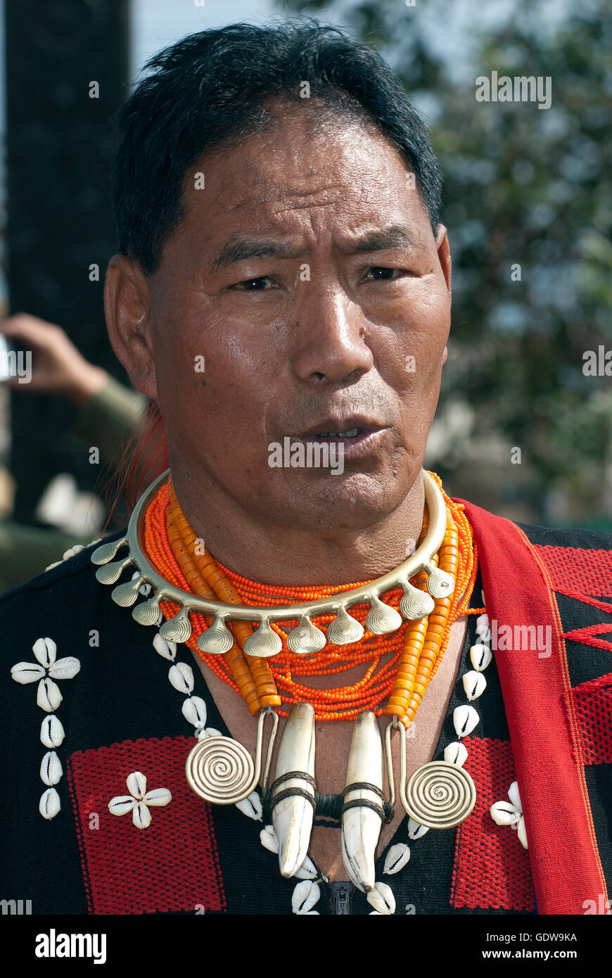 The image of Chang Tribe Man at Hornbill Festival, Nagaland, India ...