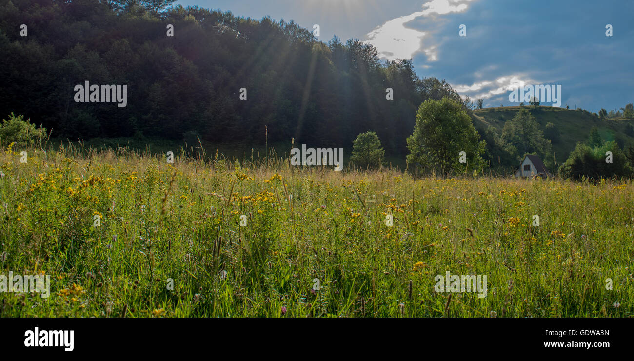 Sun shining on the field Stock Photo - Alamy
