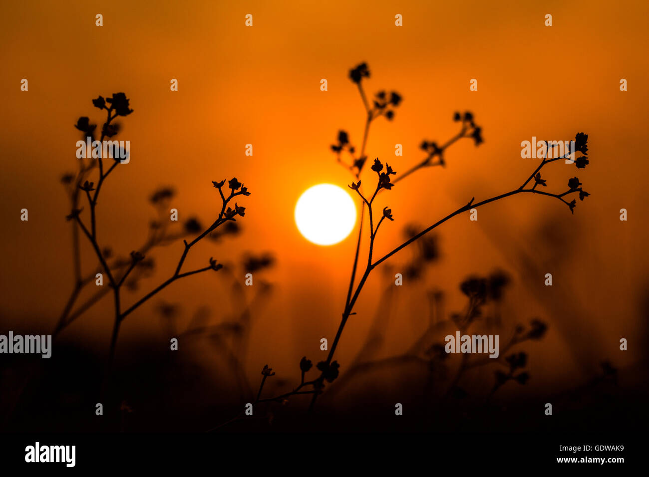 Sunrise shades hi-res stock photography and images - Alamy