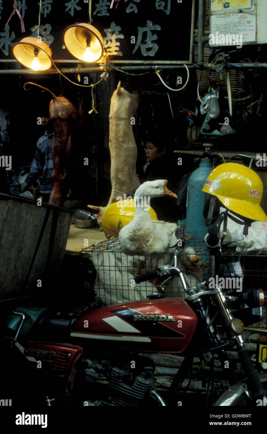 the animal Market in the city of Canton or Guangzhou in the north of ...