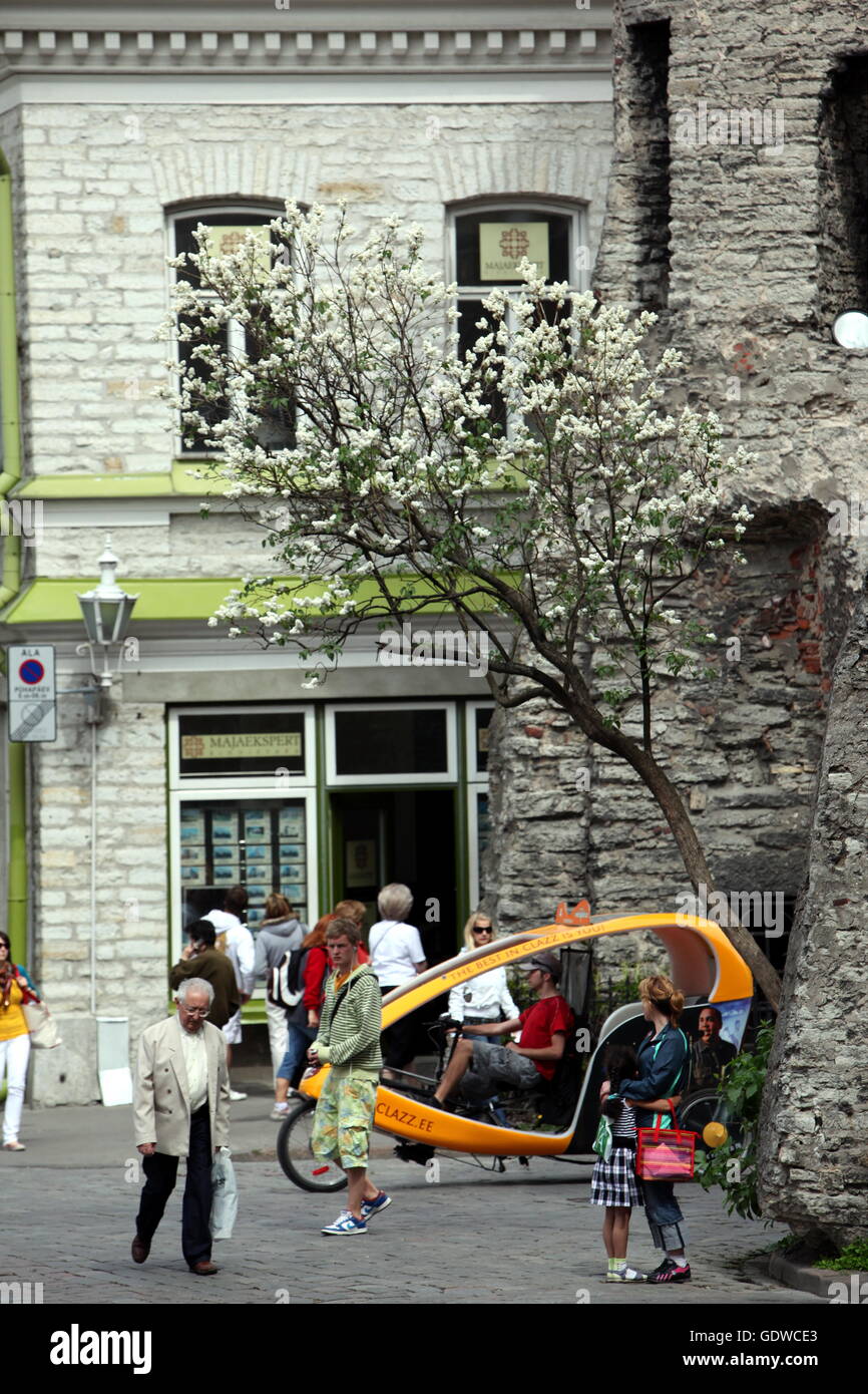a Taxi in the old Town of Tallinn in Estonia in the Baltic countrys in ...