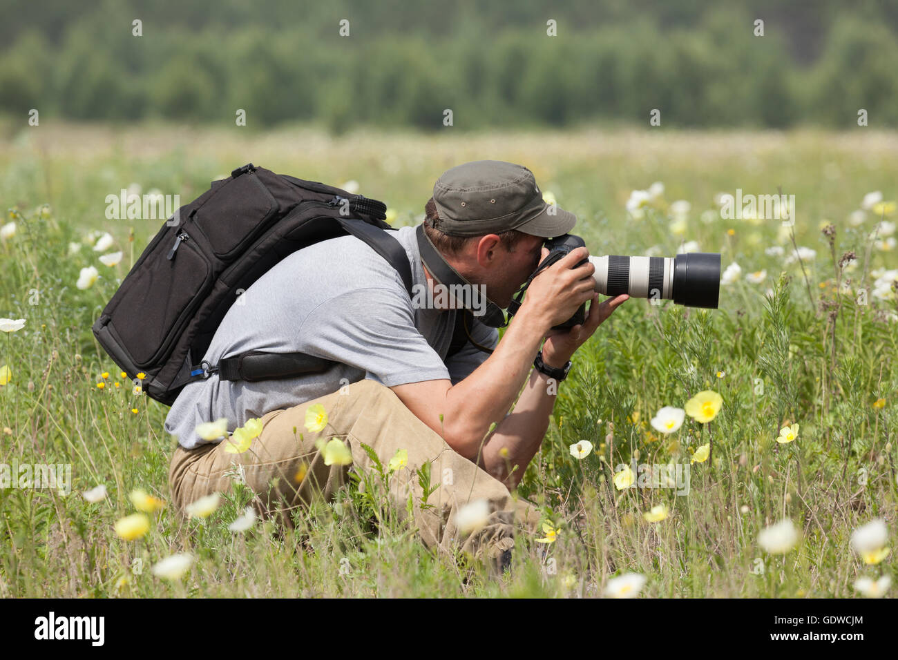 Photographer is taking a picture on green meadow Stock Photo - Alamy