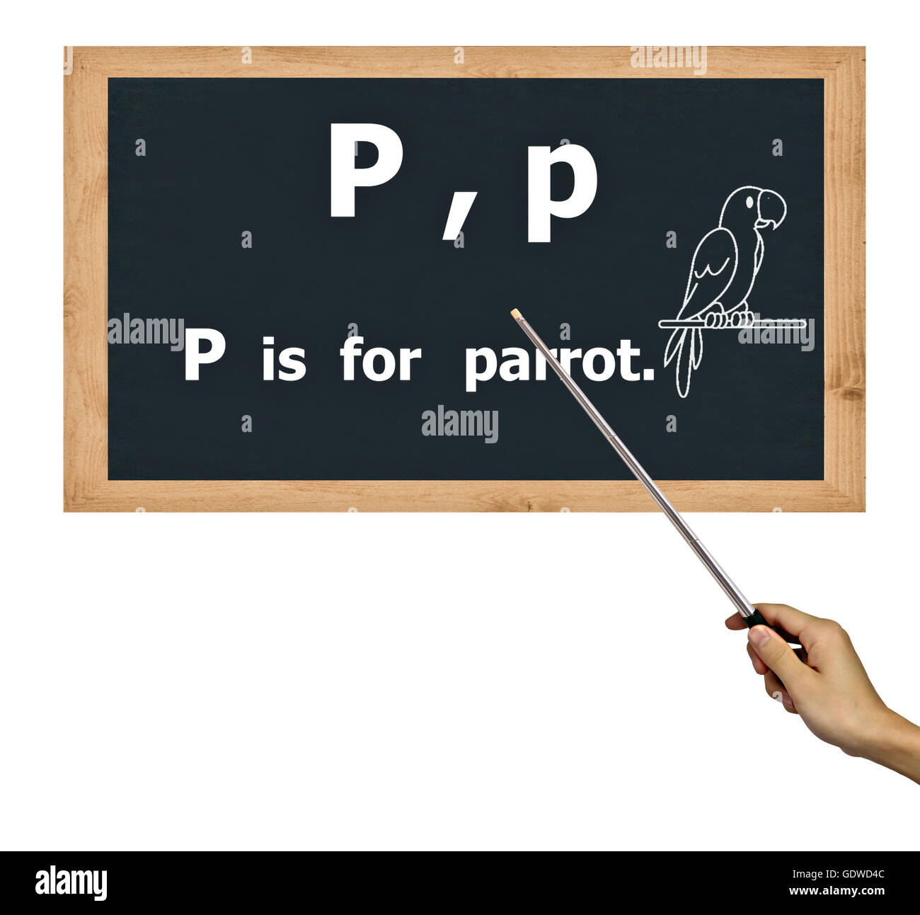 blackboard for abc alphabet learning and Hand holding pointer Stock ...