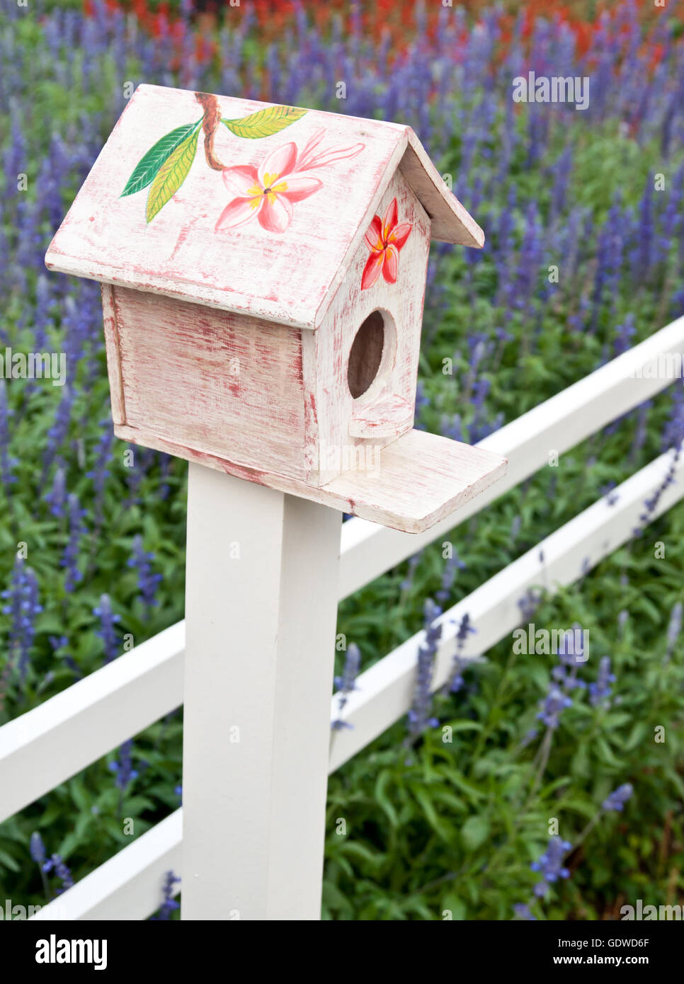 A white wooden bird house Stock Photo - Alamy