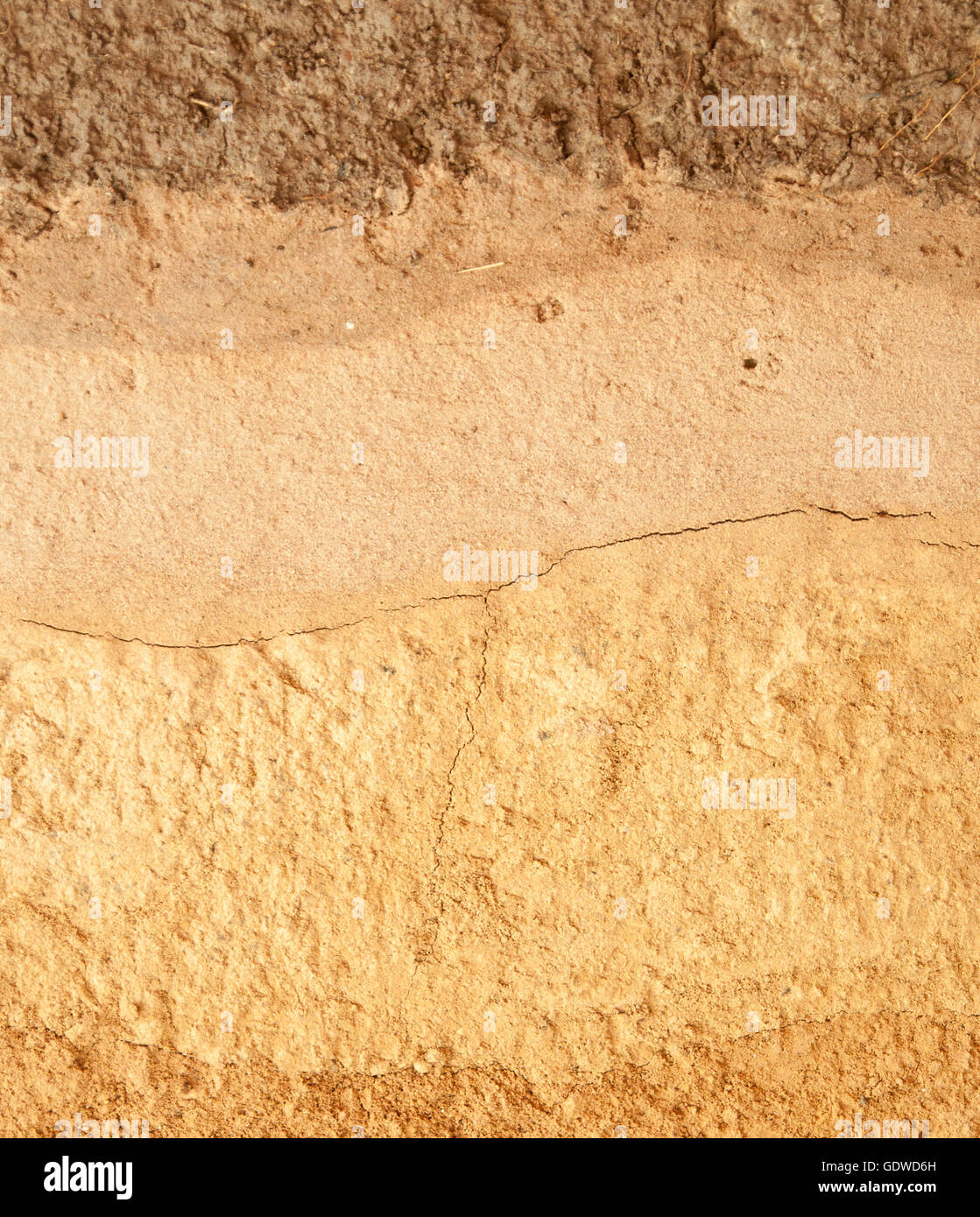 Soil profile agriculture hi-res stock photography and images - Alamy