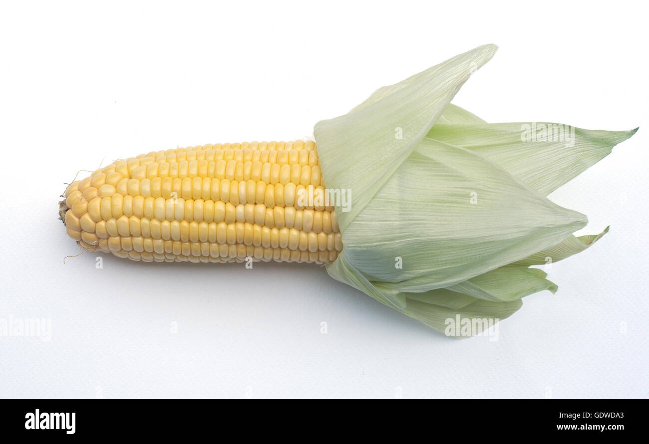 fresh corn isolated on white Stock Photo - Alamy