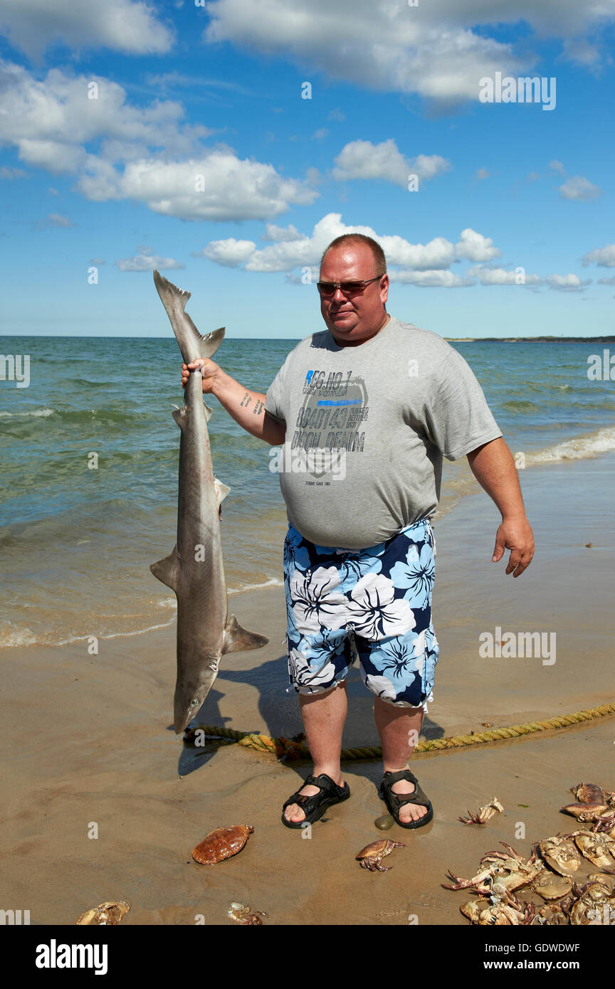 Man holding a Dead Porbeagle shark on the beach, caught in fishing net ...