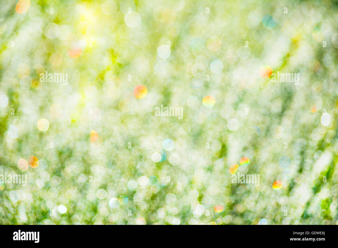 Bokeh green background hi-res stock photography and images - Alamy