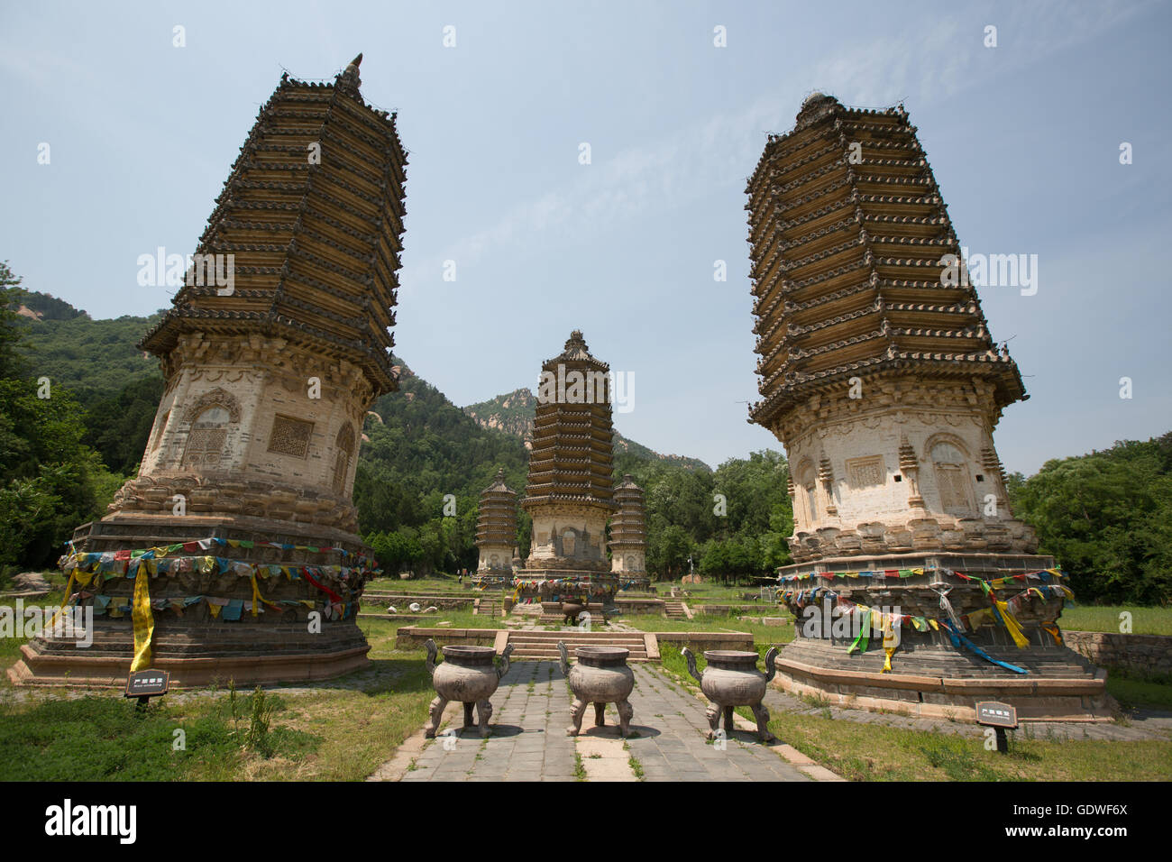 Silver forest hi-res stock photography and images - Alamy