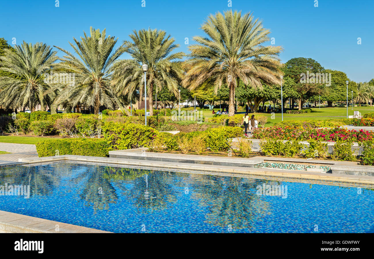 National flower of uae hi-res stock photography and images - Alamy