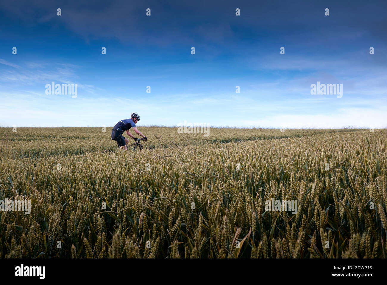 Cycling through a field hi-res stock photography and images - Alamy