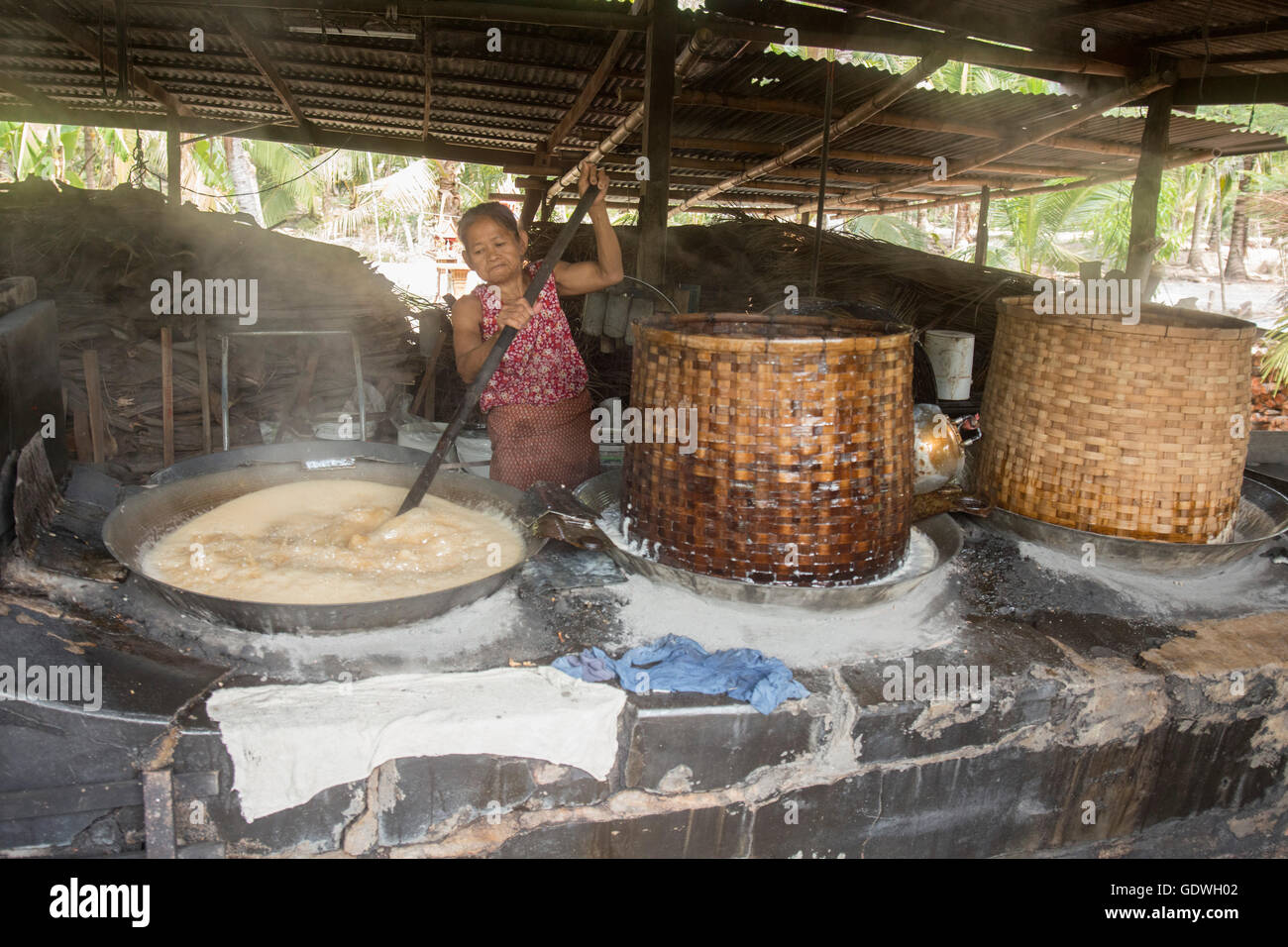 The Palm sugar production at a Plantation in the Town of Tha Kha in the ...