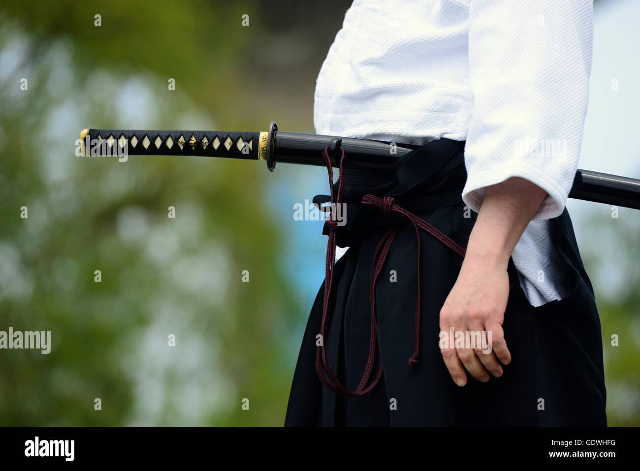 Sword fighter hi-res stock photography and images - Alamy