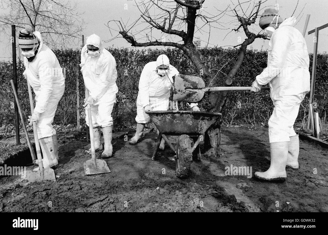 Chemical accident at Hoechst AG Stock Photo - Alamy