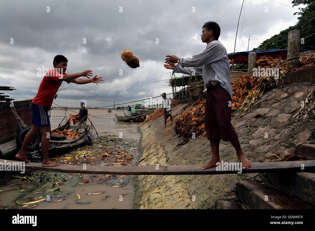 Throw me the coconut Stock Photo - Alamy