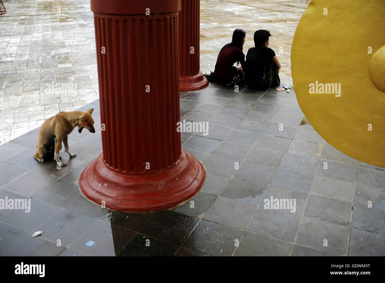 Burmese temple dog hi-res stock photography and images - Alamy