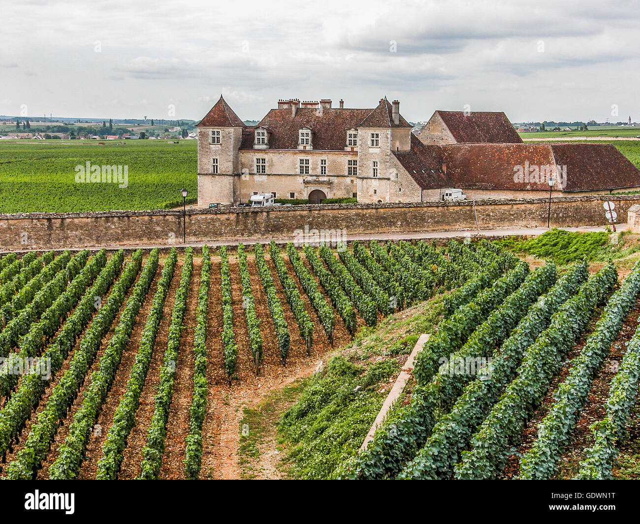 Clos Vougeot, Burgundy, vineyard, France Stock Photo - Alamy