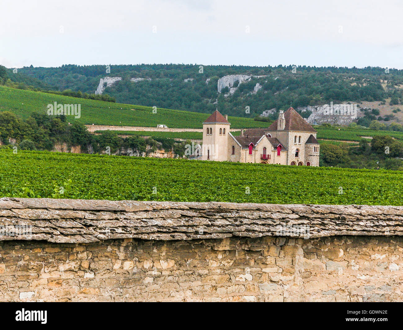 Clos Vougeot, Burgundy, vineyard and wall, France Stock Photo - Alamy