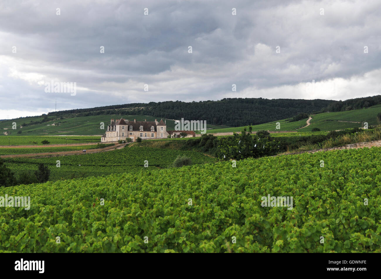 Clos de Vougeot, Burgundy France Stock Photo - Alamy