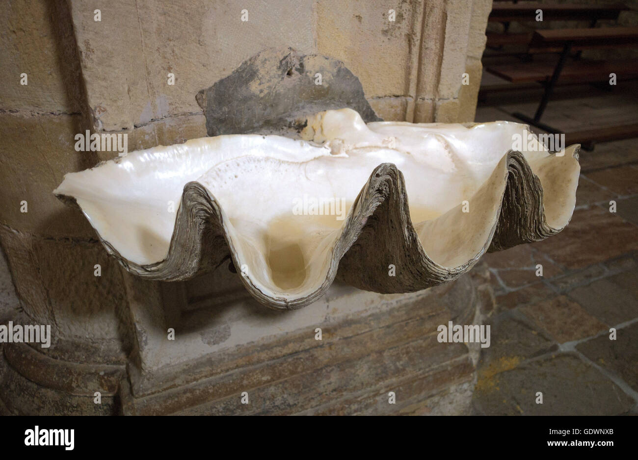 Holy Water Font Catholic Church High Resolution Stock Photography and ...