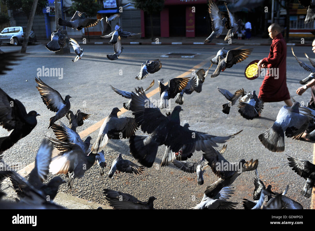 Monk and flock of pigeons hi-res stock photography and images - Alamy
