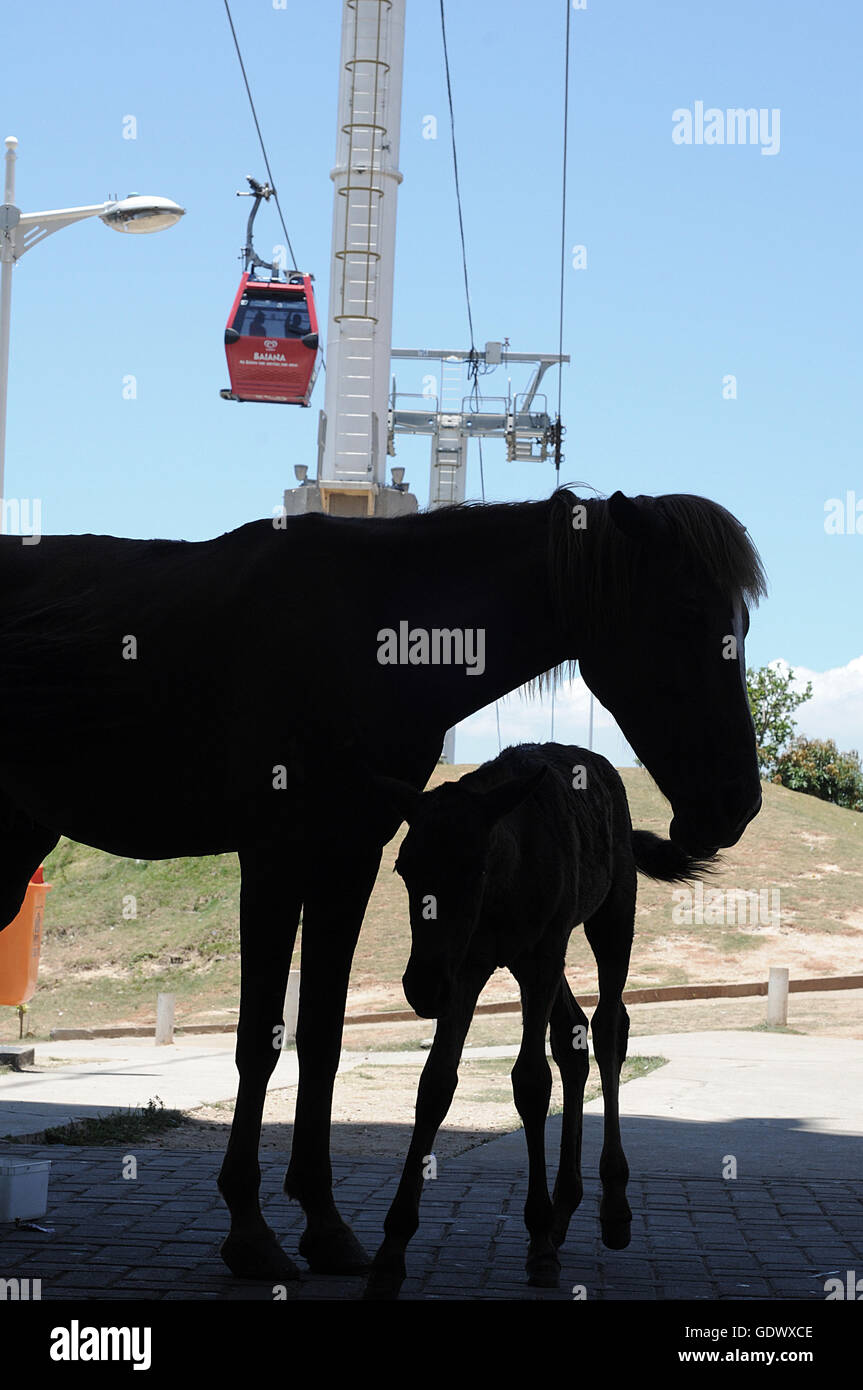 Complexo do Alemao Stock Photo - Alamy