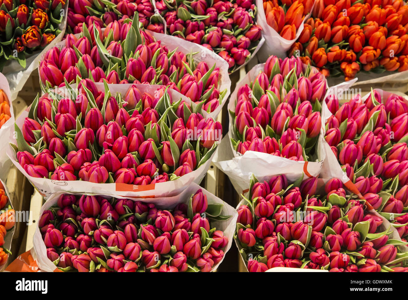 Week green hi-res stock photography and images - Alamy