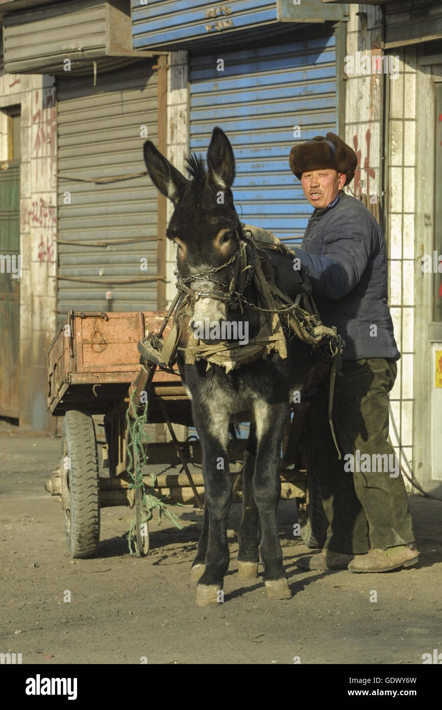 A man uses a donkey to haul a cart on a steet Stock Photo - Alamy