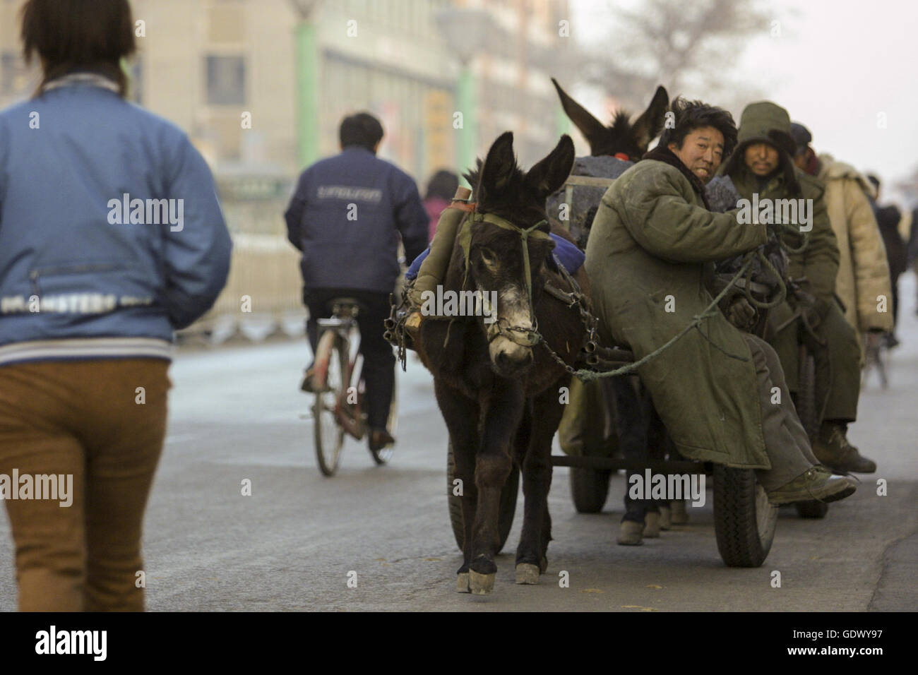 A man uses a donkey to haul his cart Stock Photo - Alamy