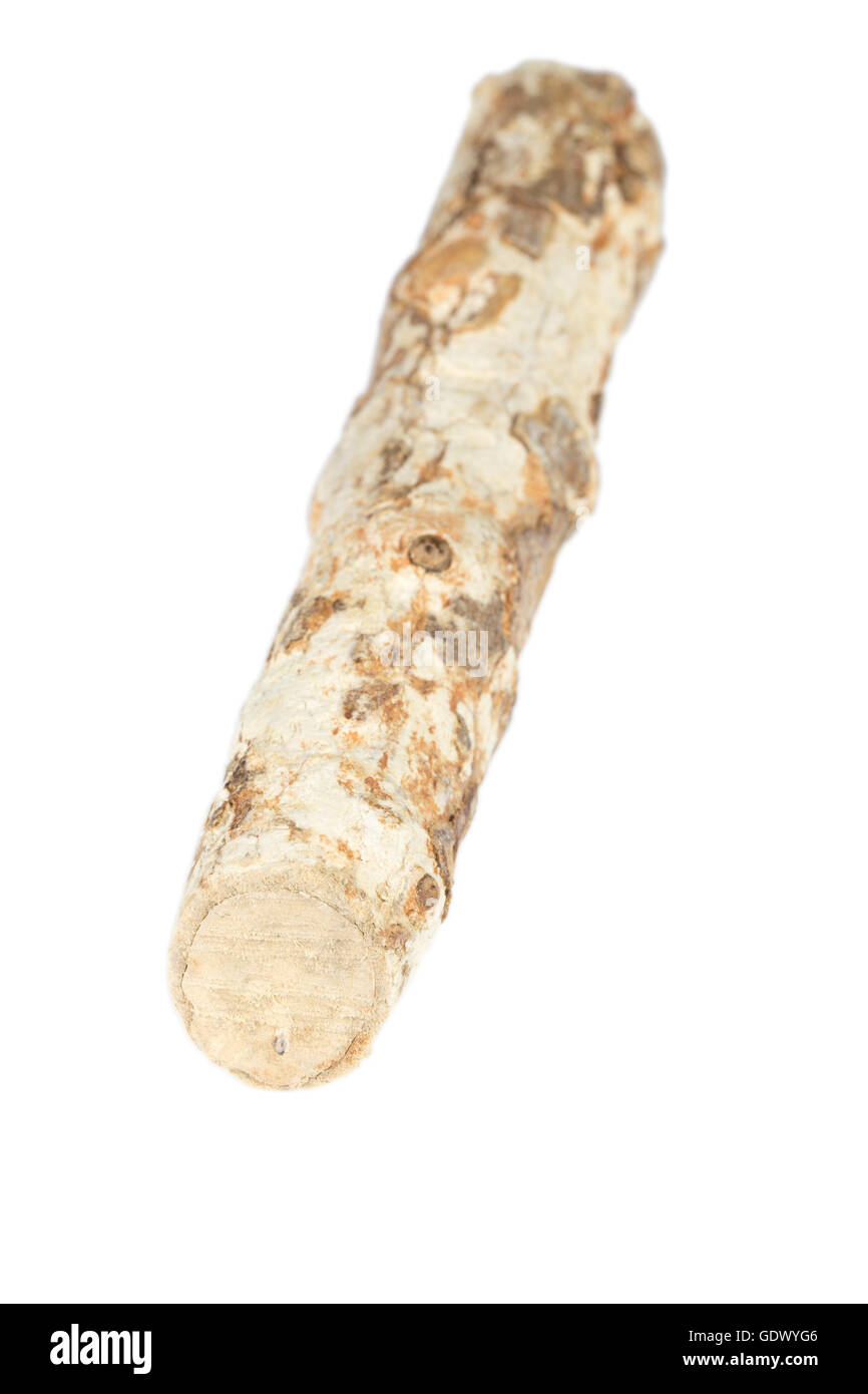 Thanaka wood from Myanmar Stock Photo - Alamy