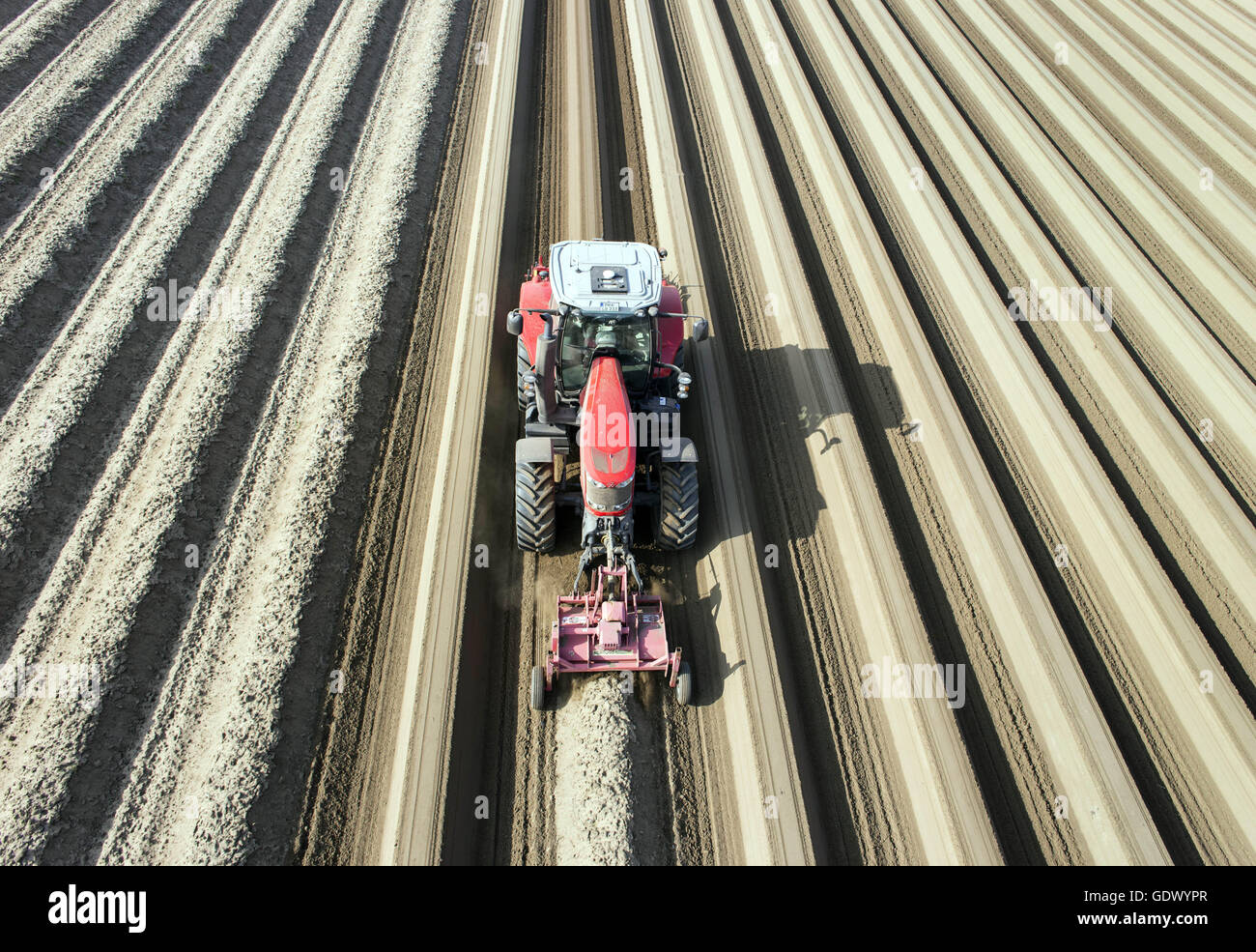 Aerial tractor asparagus field hi-res stock photography and images - Alamy