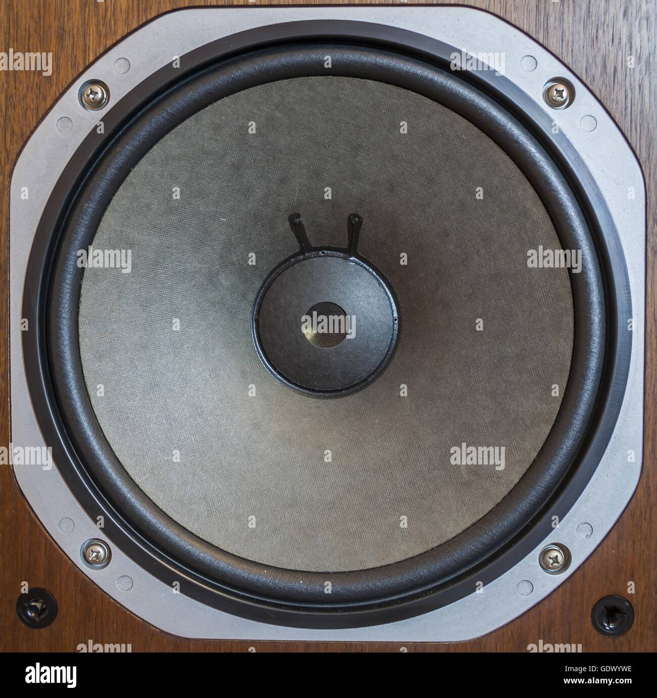 Bass loudspeaker close-up Stock Photo - Alamy