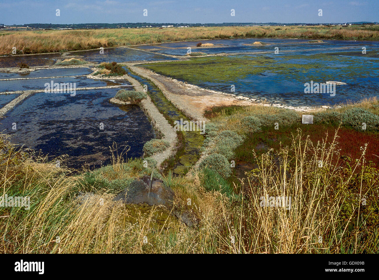 salt marshes at Gérande, France Stock Photo - Alamy