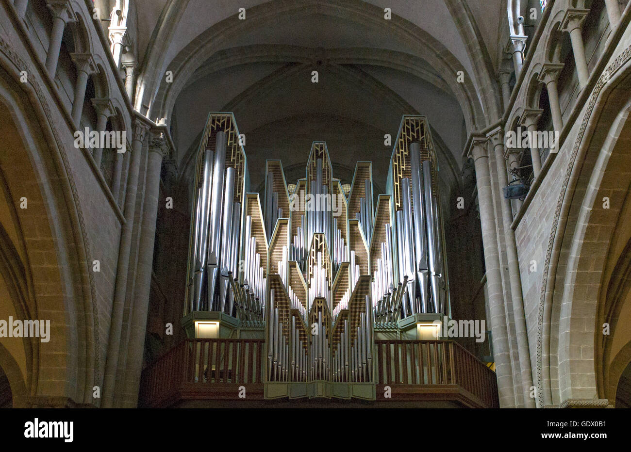 Organ culture hi-res stock photography and images - Alamy