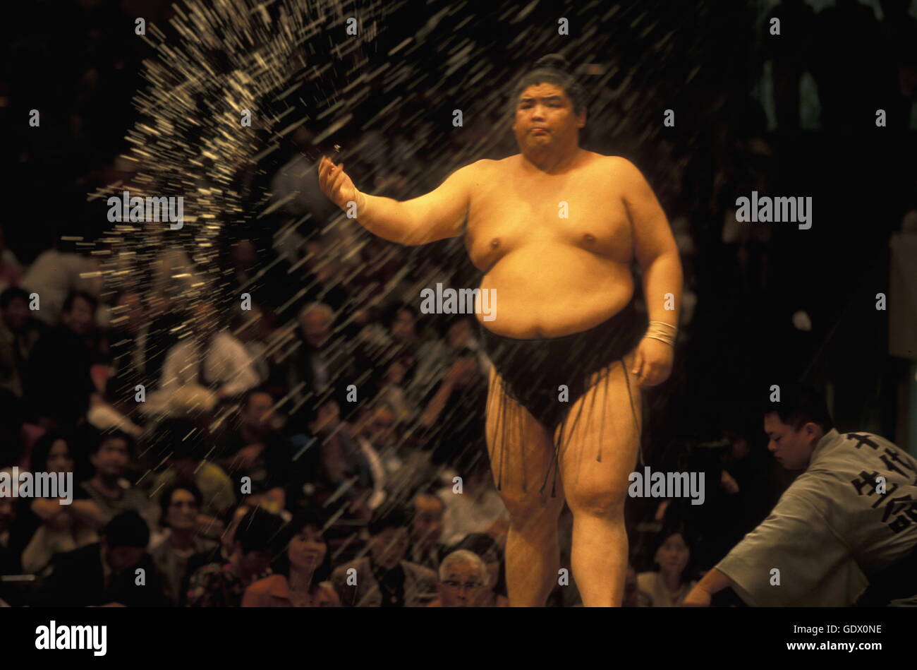 a Sumo fight in the Sumo Arena in the City centre of Tokyo in Japan in ...