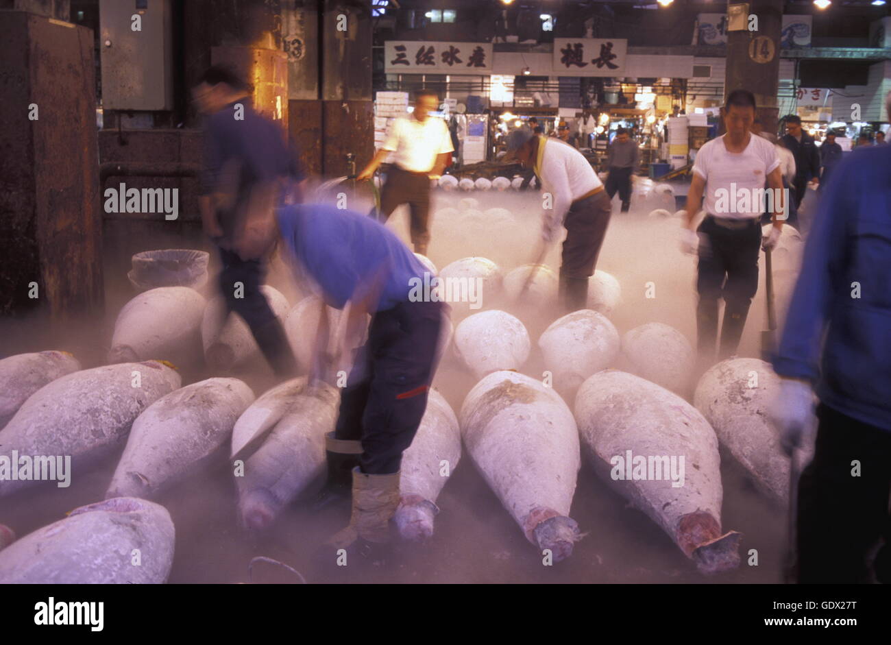 Tuna Fish at the Tsukiji Fishmarket in the City of Tokyo in Japan in ...